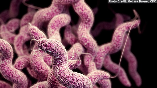 Riesgos microbianos | Ecolab